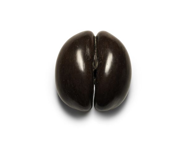 Bonhams : A polished coco de mer nut Lodoicea Maldivica
