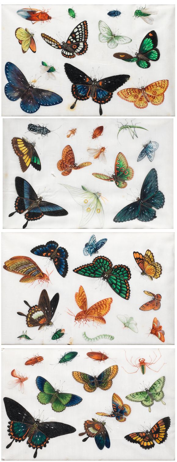 Bonhams : A set of twelve insect studies Cantonese School, 19th century