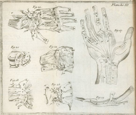 Bonhams : WEITBRECHT (JOSIAS) and PIERRE TARIN Desmographie ou ...