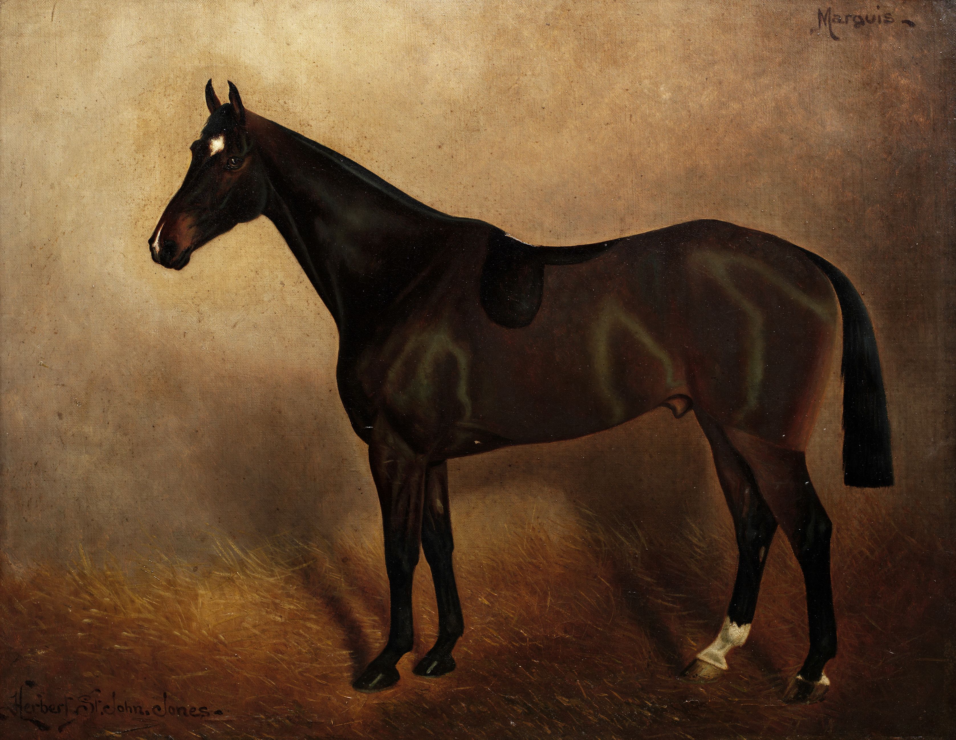 Bonhams : Herbert H. St. John Jones (British, 1870-1939) Hunter Marquis