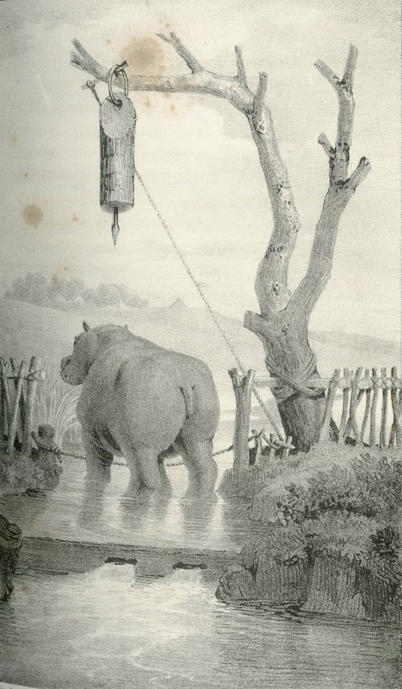 Bonhams : BOTELER (THOMAS) Narrative of a Voyage of Discovery to Africa ...