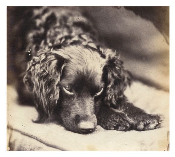 Bonhams : JOHNSTON (EMMA FRANCES) Archive of approximately 350 ...