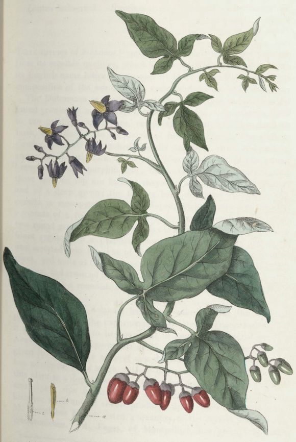 Bonhams : SPRATT (GEORGE)] Flora Medica: Containing Coloured ...