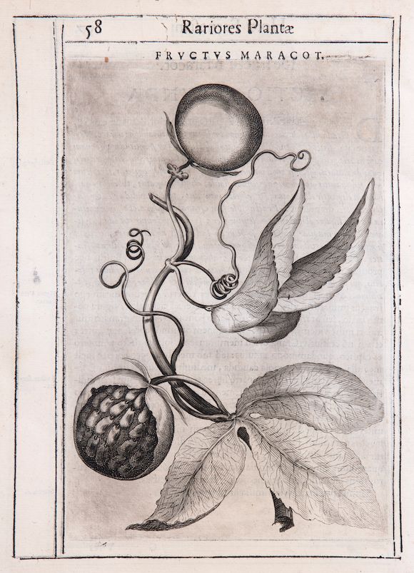 Bonhams : ALDINI (TOBIAS) and PIETRO CASTELLI Exactissima descriptio ...