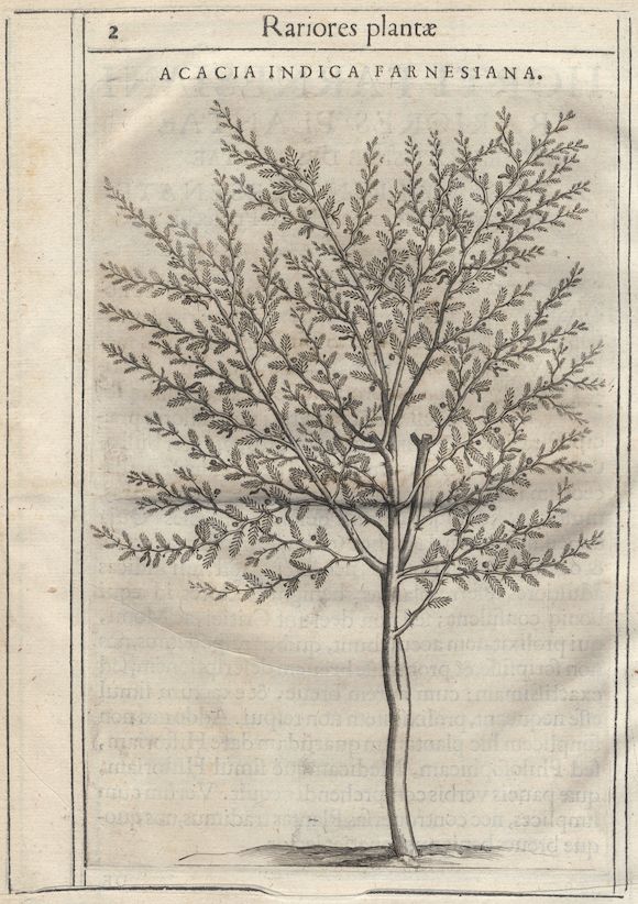 Bonhams : ALDINI (TOBIAS) and PIETRO CASTELLI Exactissima descriptio ...