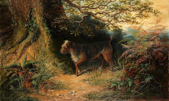 Bonhams : Arthur H. Davis (British, fl.1871-1894) Terrier in the woods
