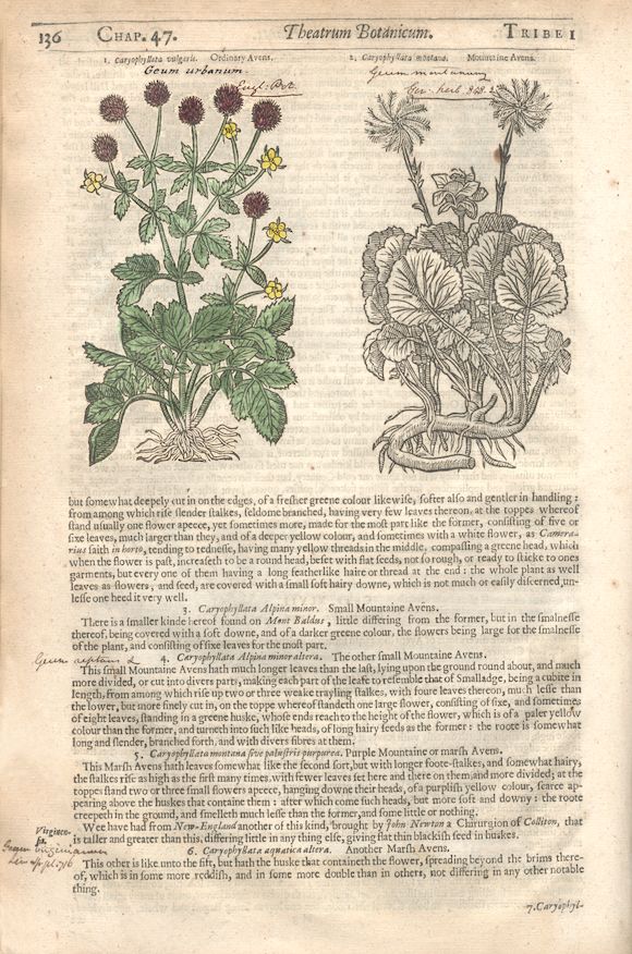Bonhams : PARKINSON (JOHN) Theatrum botanicum: the Theater of Plants ...