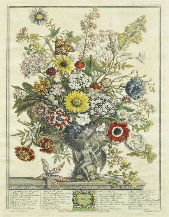 Bonhams : FURBER (ROBERT) [Twelve Months of Flowers], set of 12 hand ...