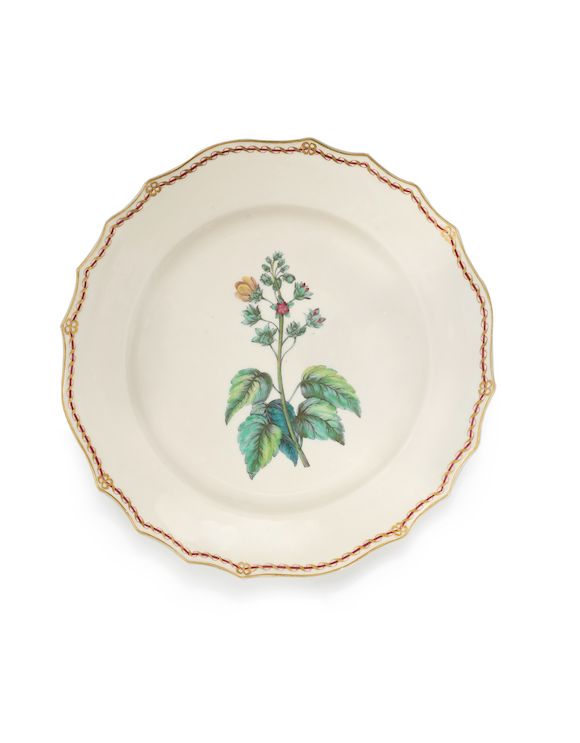 Bonhams : A Tournai botanical plate, circa 1775-1800