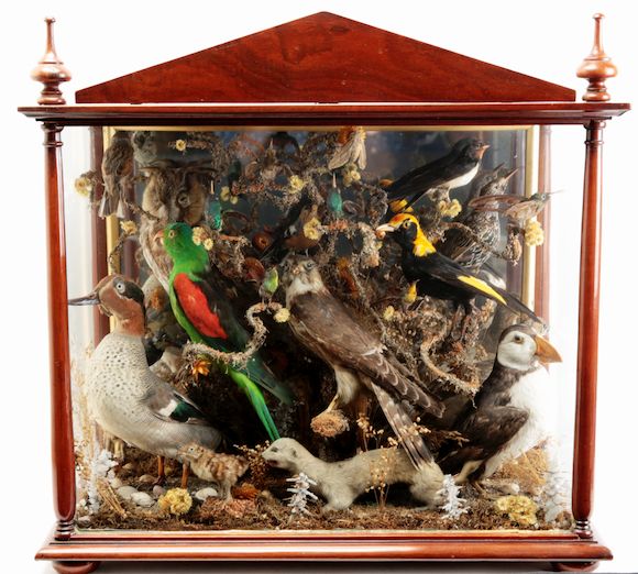 Bonhams : A Victorian taxidermy display of birds and animals