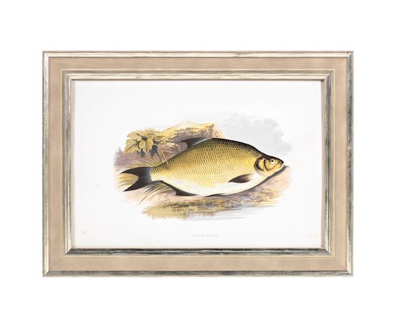 Bonhams : A set of twelve 19th century lithographic prints of ...