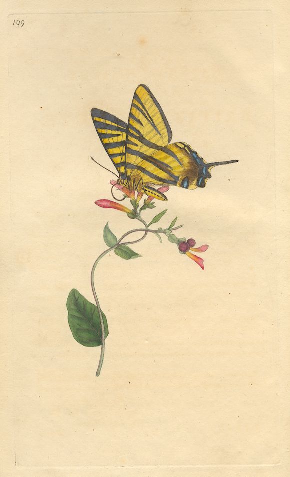 Bonhams : DONOVAN (EDWARD) The Natural History of British Insects, vol ...