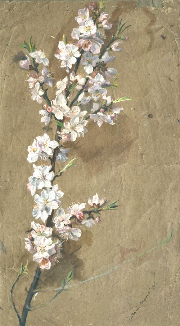 Bonhams : Frederic James Shields (British, 1833-1911) A study of apple ...
