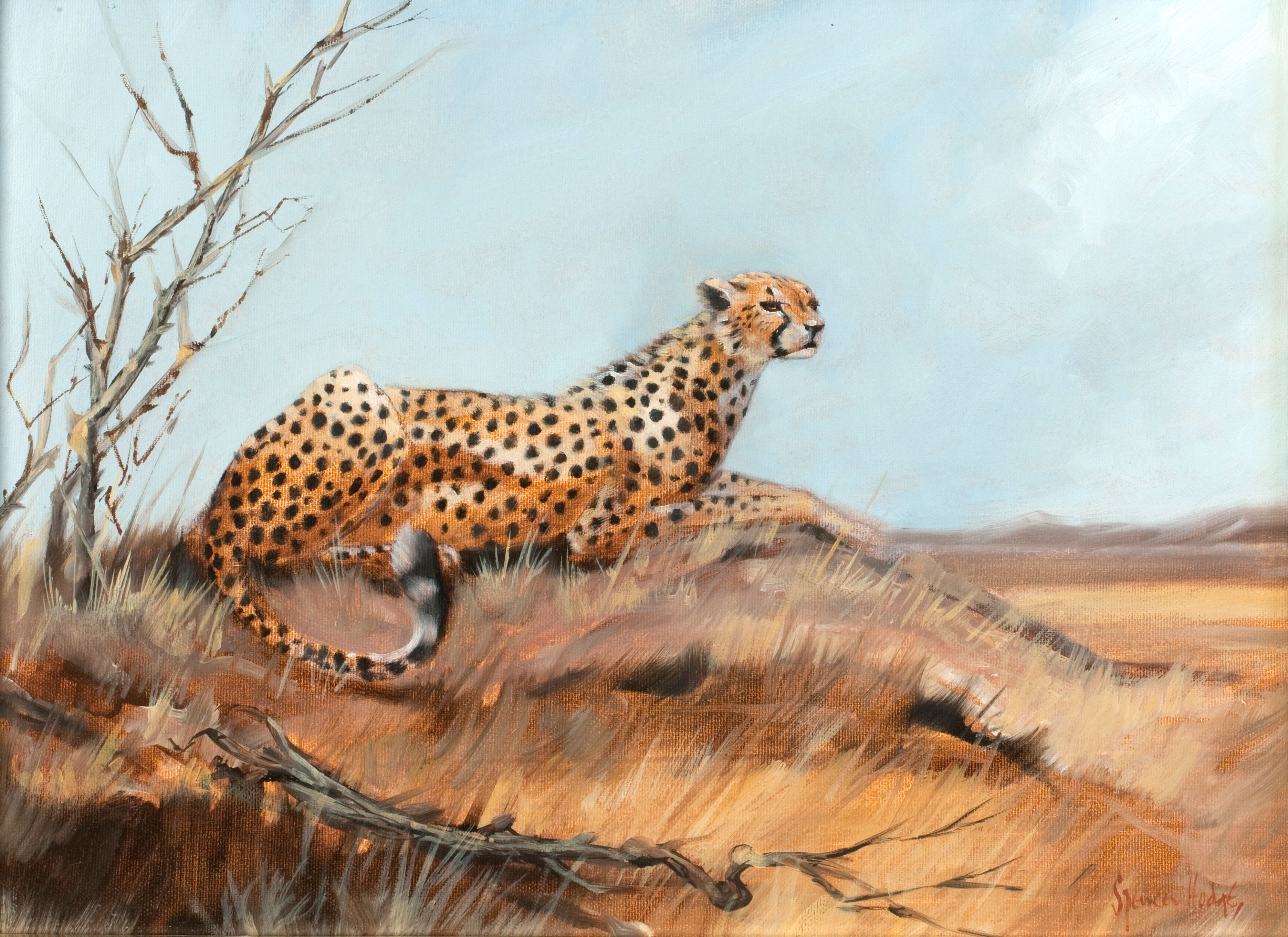 Bonhams : Spencer Hodge (British, born 1943) Cheetah