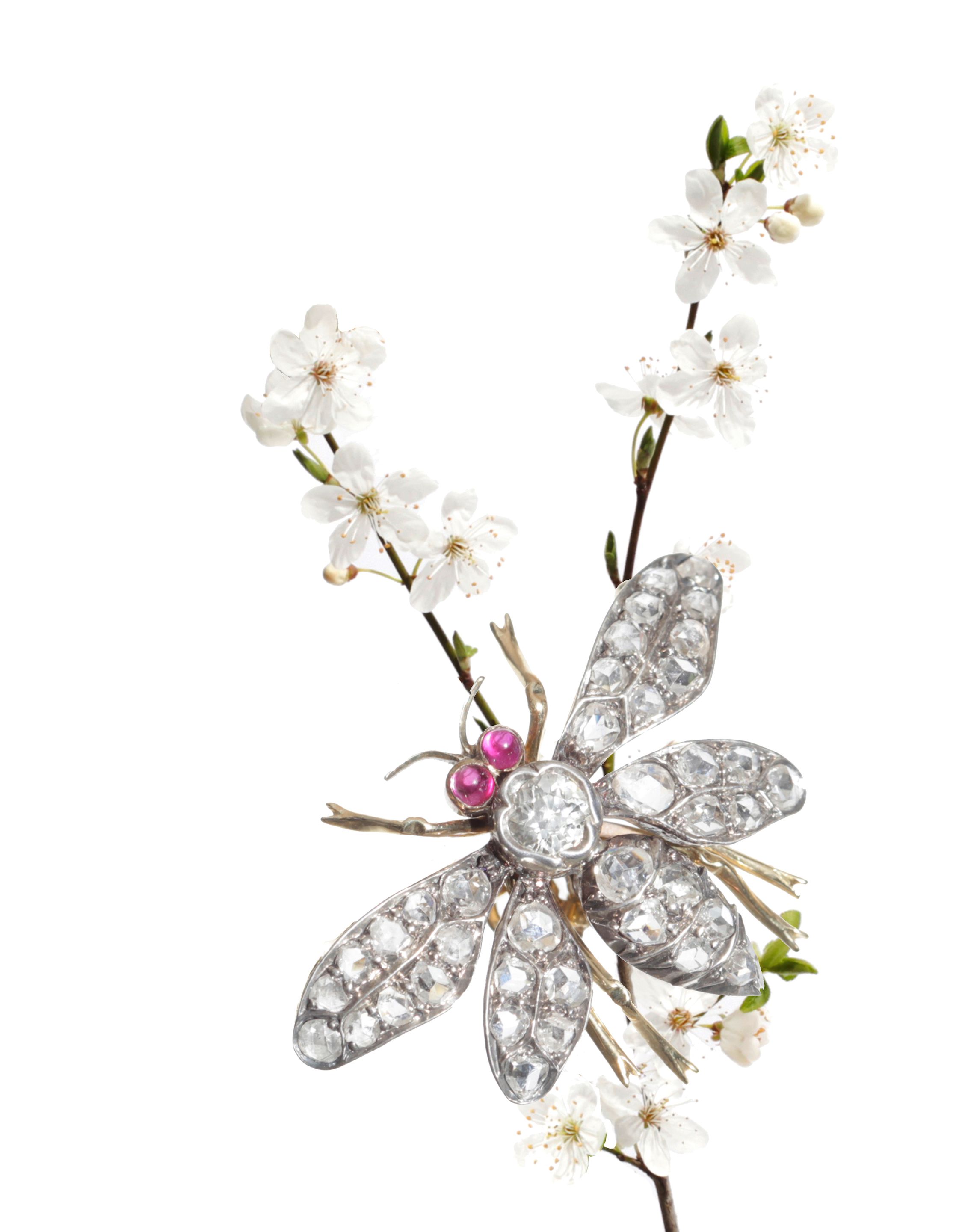 Bonhams : A Victorian diamond insect brooch