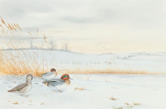 Bonhams : R. David Digby (born 1936) Teal in the snow (together with ...