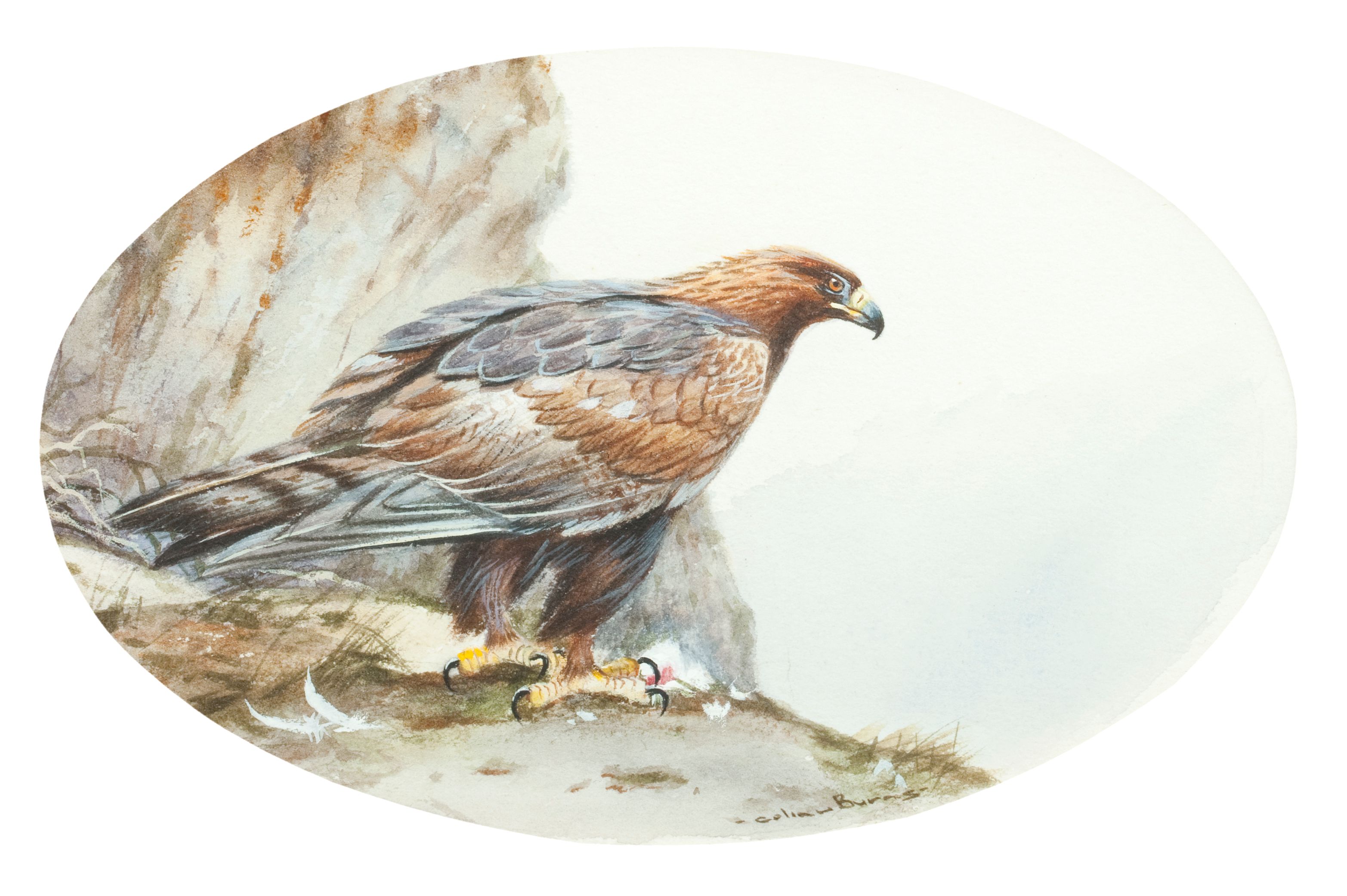 Bonhams : Colin W. Burns (British, born 1944) Golden Eagle (together ...