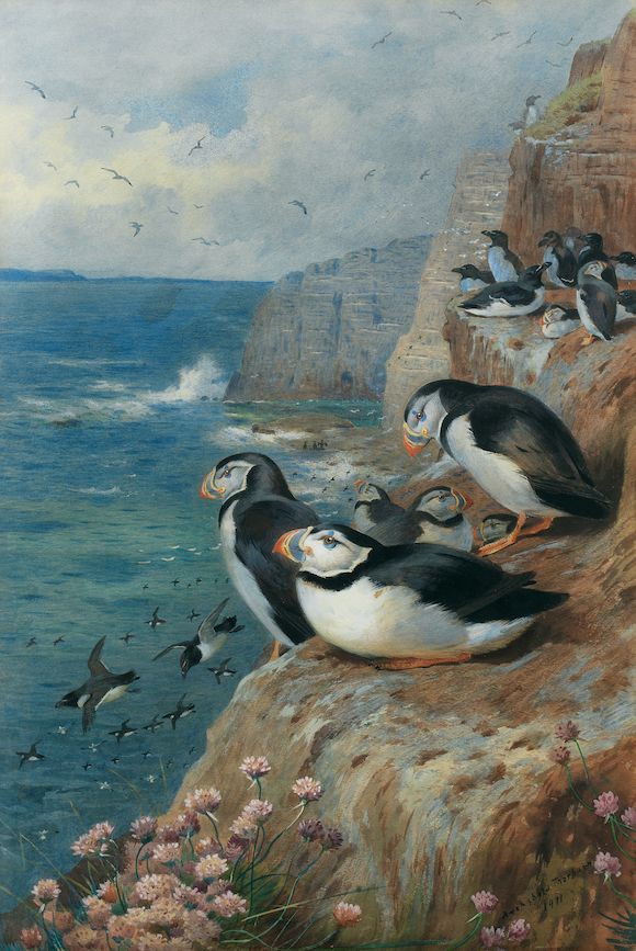 Bonhams : Archibald Thorburn (British, 1860-1935) Puffins and Razor Bills