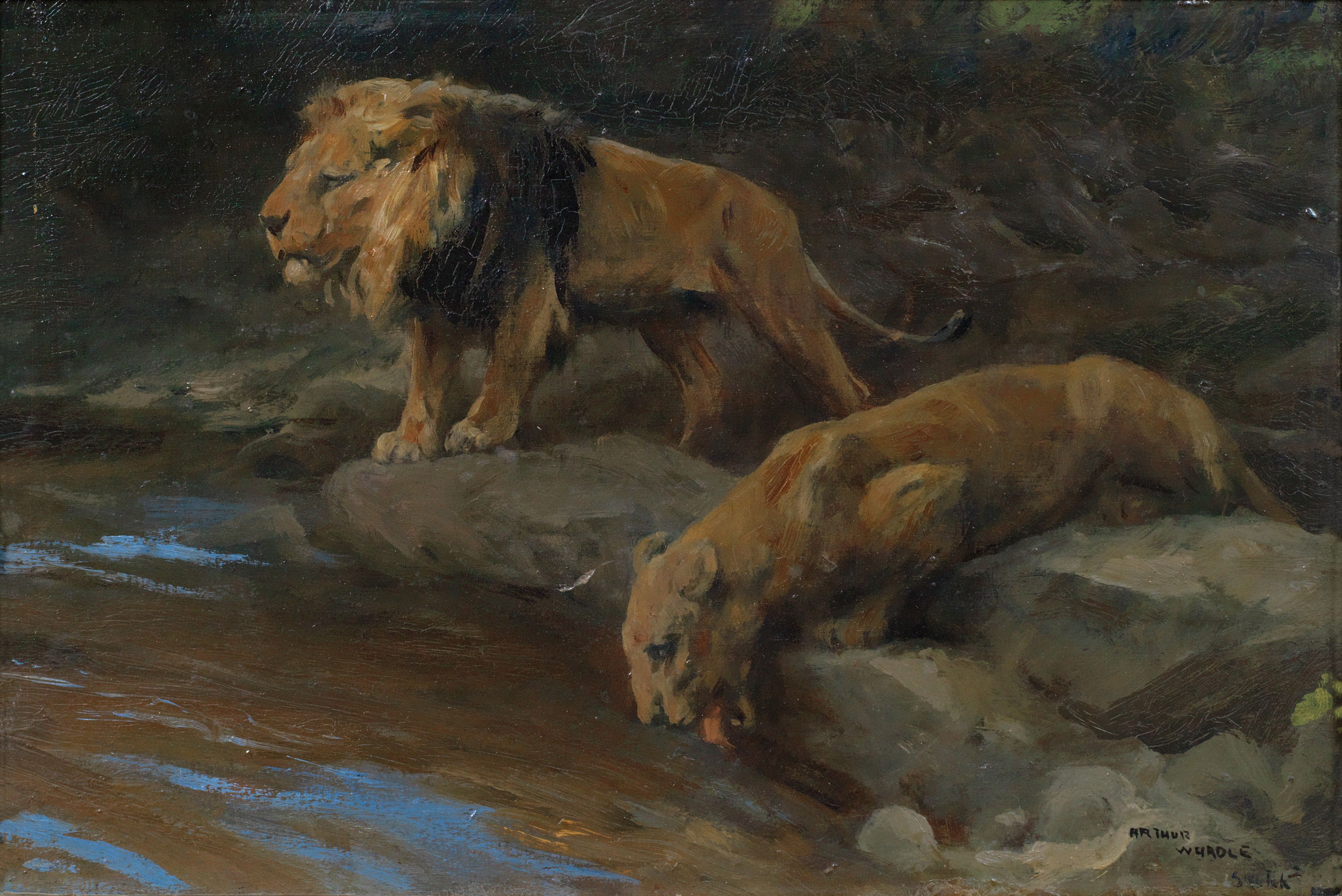 Bonhams : Arthur Wardle, RI (British, 1864-1949) Lions at the river