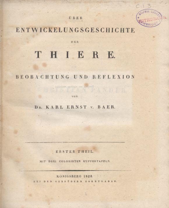 Bonhams : BAER (KARL ERNEST VON) Über Entwickelungsgeschichte der ...