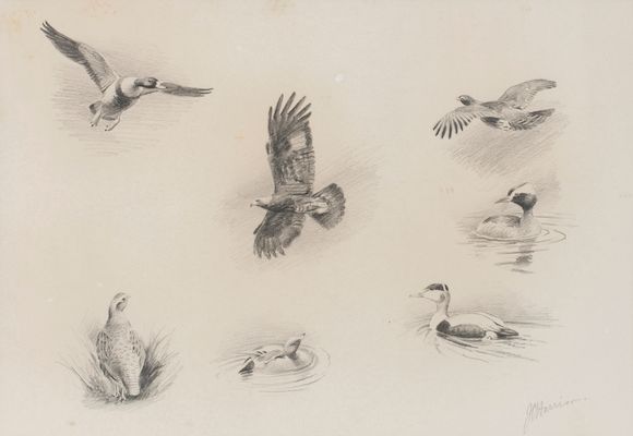 Bonhams : John Cyril Harrison (British, 1898-1985) Golden Eagle, Grouse ...