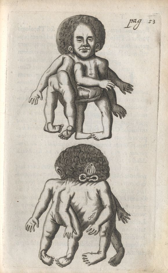 Bonhams : WILLIS (THOMAS) Opera omnia, 6 parts in one vol., Amsterdam, H. Wetsten, 1682; and 19 ...