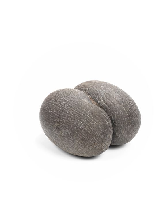 Bonhams : A large un-polished Coco de Mer (Lodoica Maldivica) nut