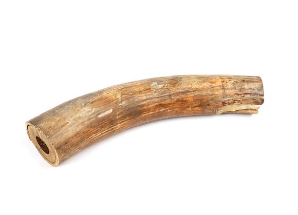 Bonhams : A section of fossilized mammoth tusk together with two other ...