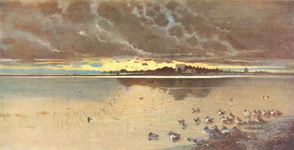 Bonhams : PAYNE GALLWEY (RALPH) The Fowler in Ireland, FIRST EDITION ...