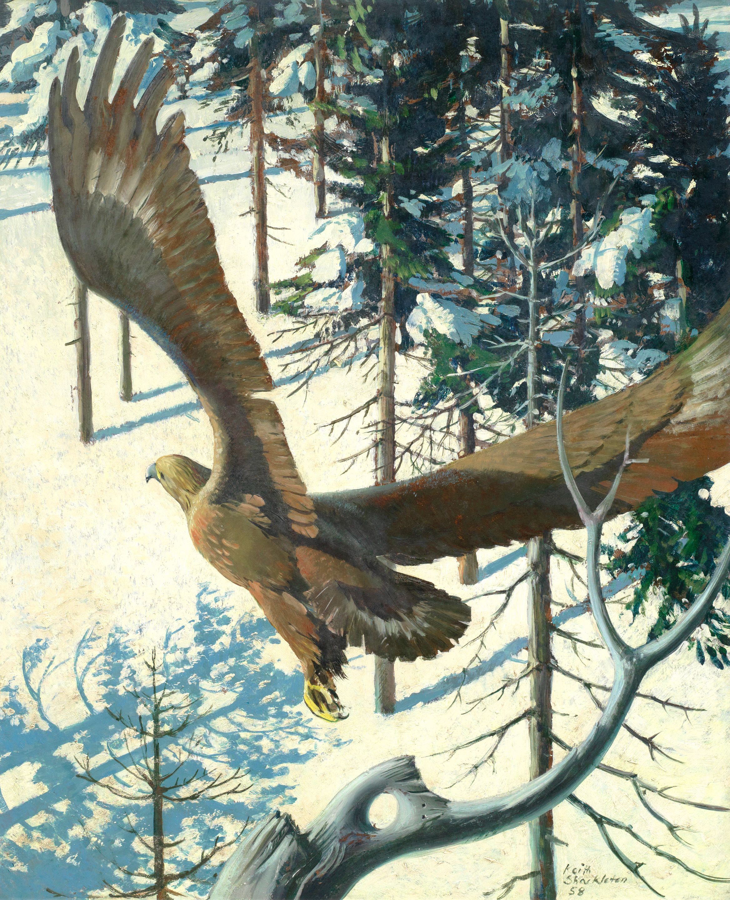 Bonhams : Keith Hope Shackleton (British, born 1923) Golden eagle in flight