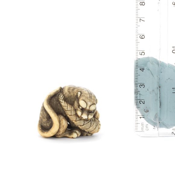 Bonhams : An ivory netsuke of a tiger By Okatori, Kyoto, early 19th century