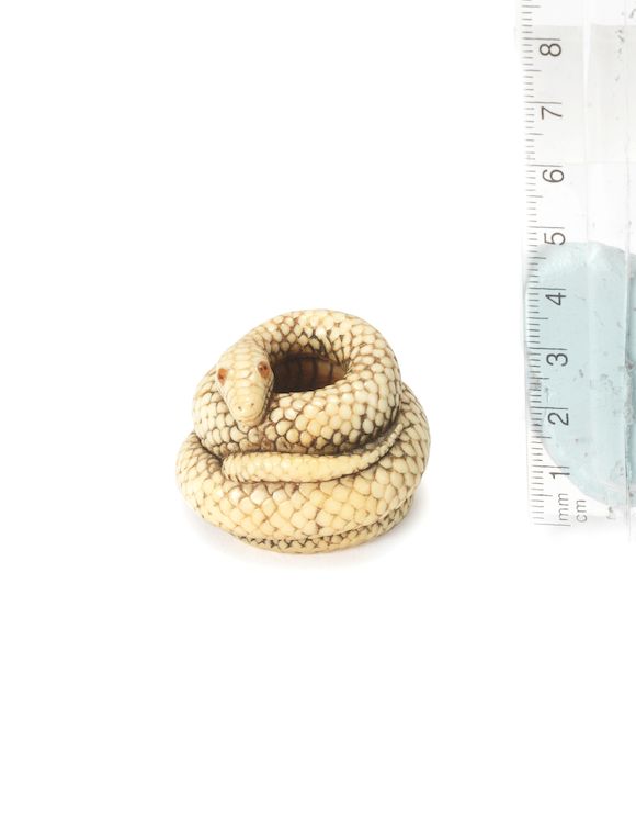 Bonhams : An ivory netsuke of a snake 19th century