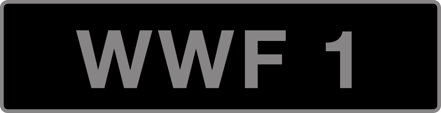 Bonhams Cars : WWF 1