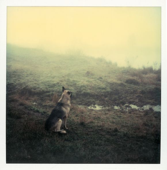 Bonhams : Andrey Tarkovsky (Russian, 1932-1986) A group of 9 Polaroid ...