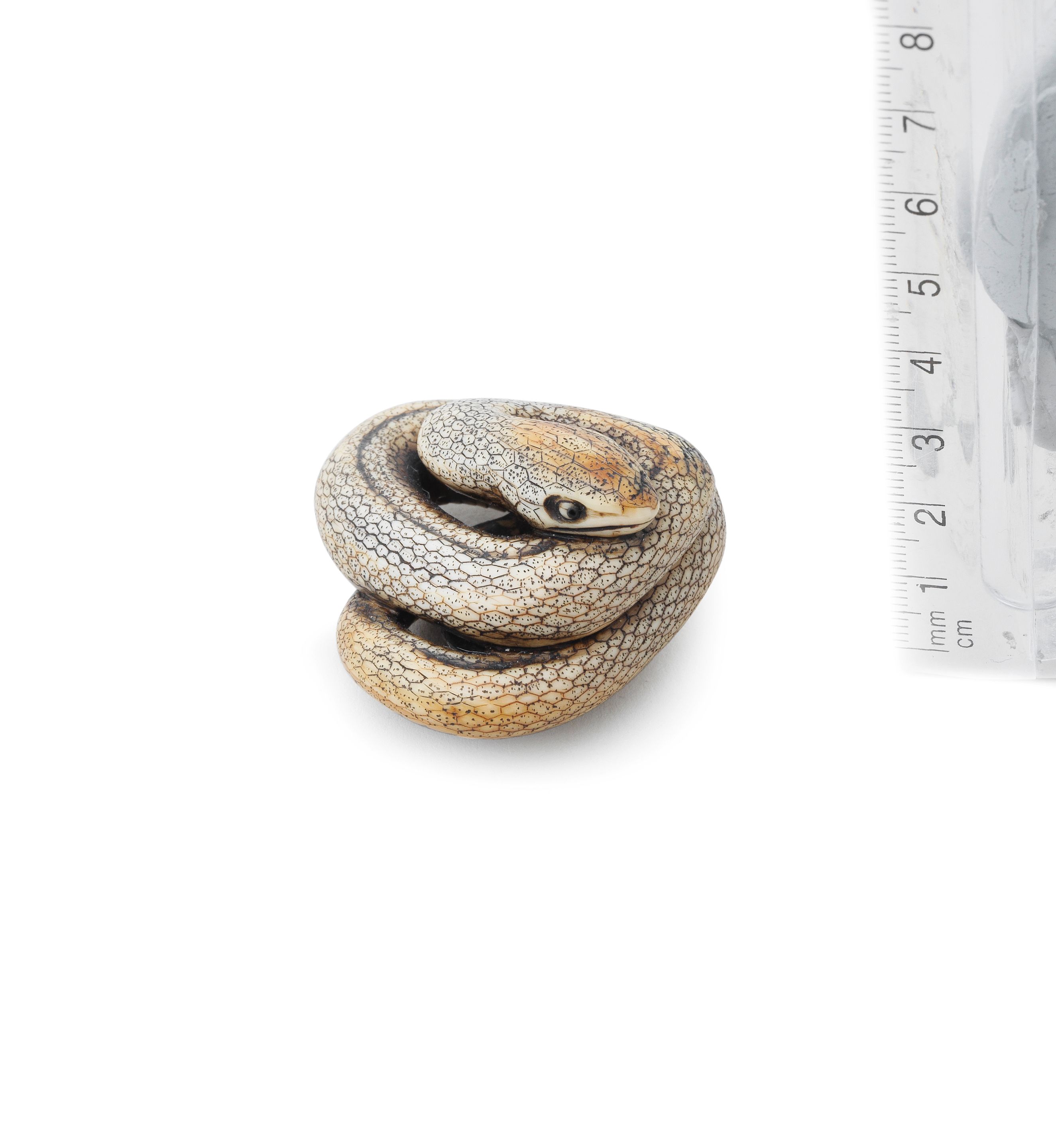 Bonhams : An ivory netsuke of a snake Early 19th century
