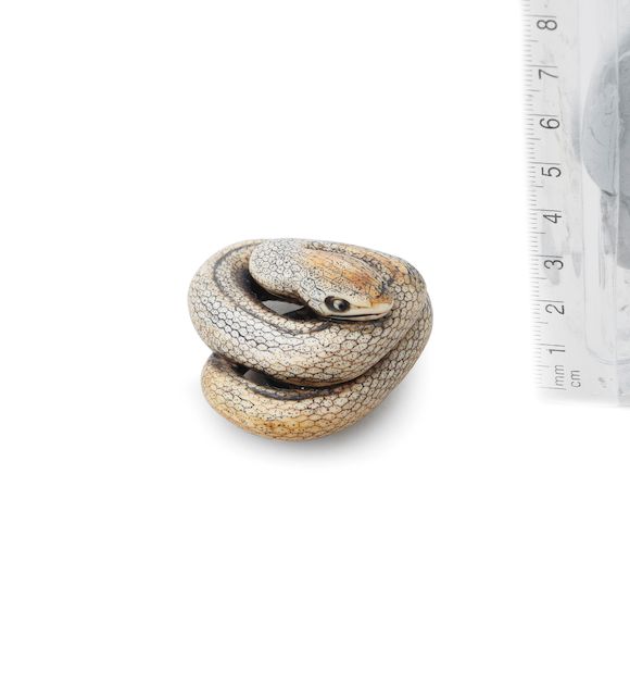 Bonhams : An ivory netsuke of a snake Early 19th century