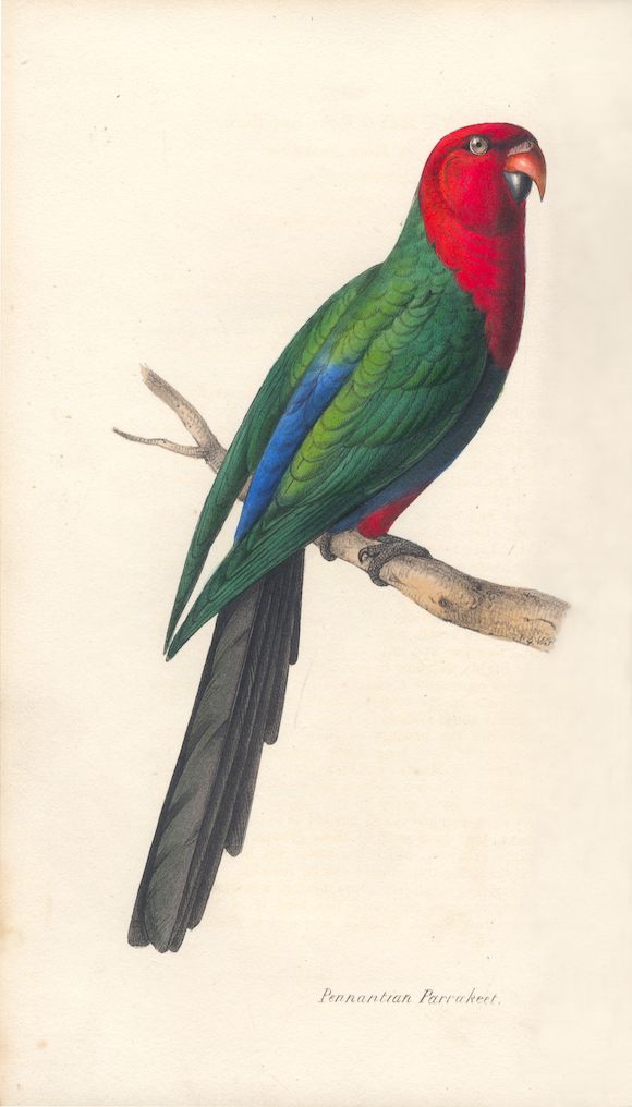 Bonhams : SWAINSON (WILLIAM) Zoological Illustrations, or Original ...