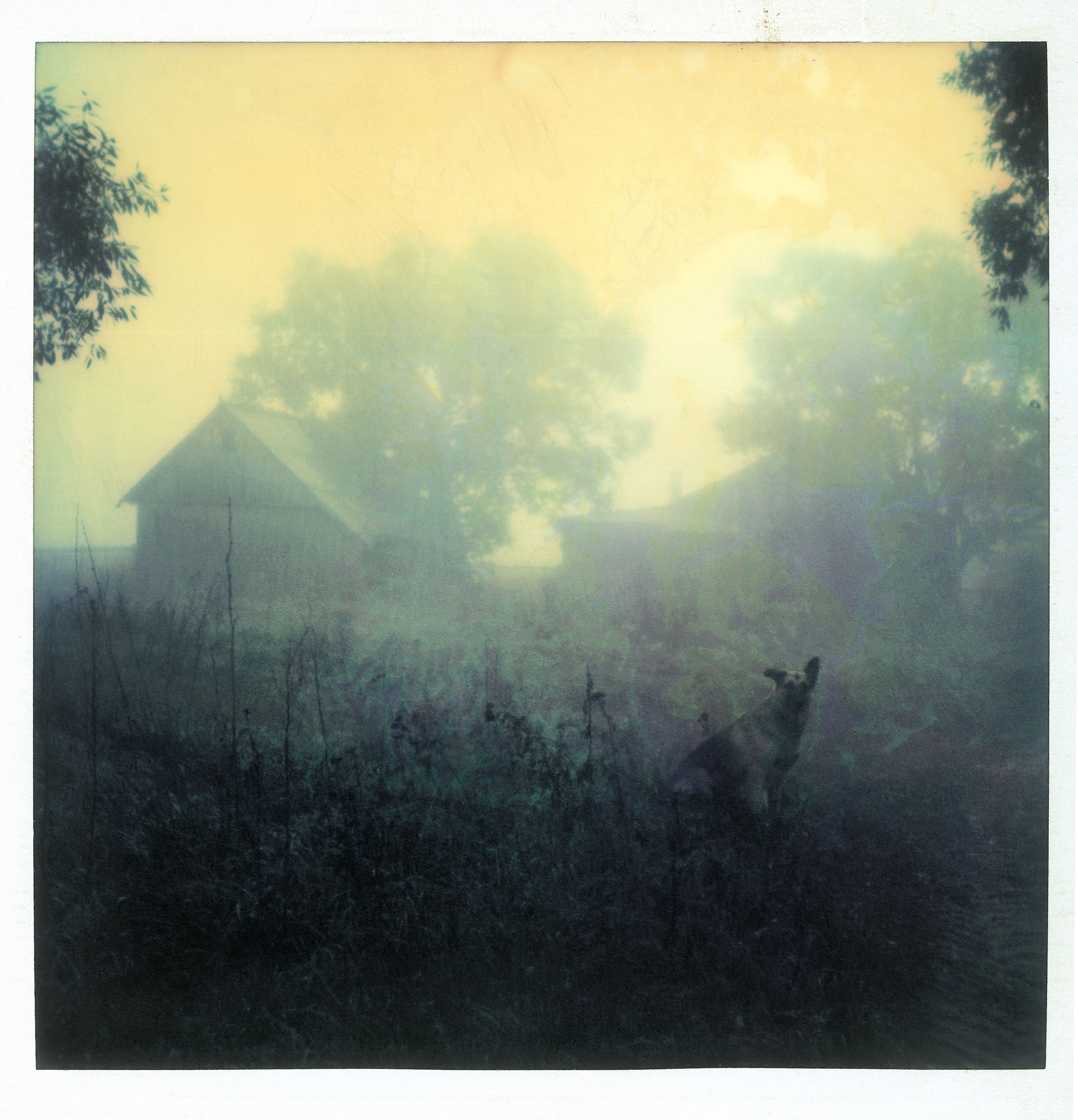 Bonhams : Andrey Tarkovsky (Russian, 1932-1986) A group of 9 Polaroid ...