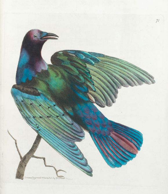 Bonhams : LEACH (WILLIAM ELFORD) The Zoological Miscellany; Being ...