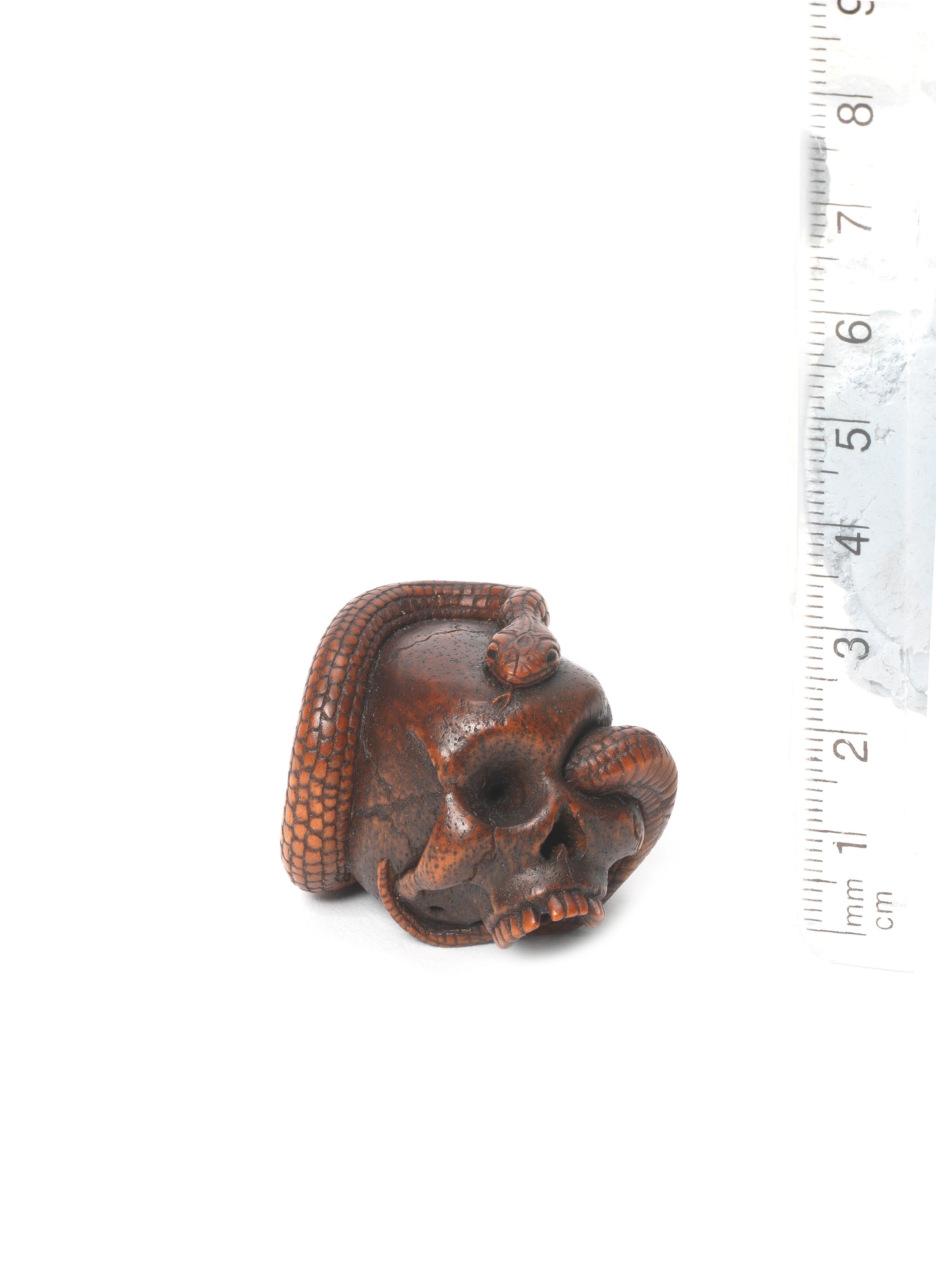 Bonhams : A wood netsuke of a snake and skull By Sukeyuki, Takayama ...
