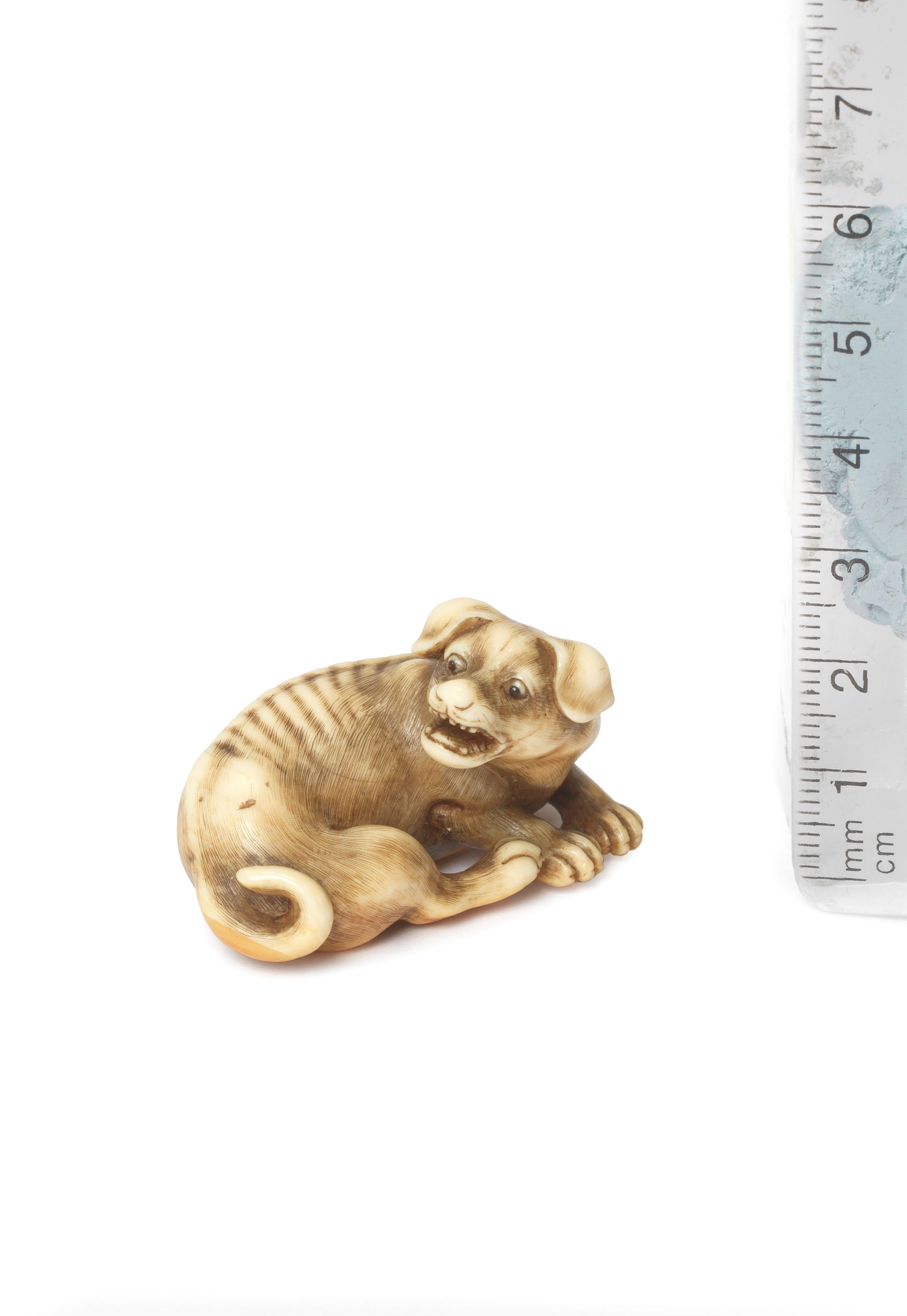 Bonhams : An ivory netsuke of a dog By Tomotada, Kyoto, 18th century