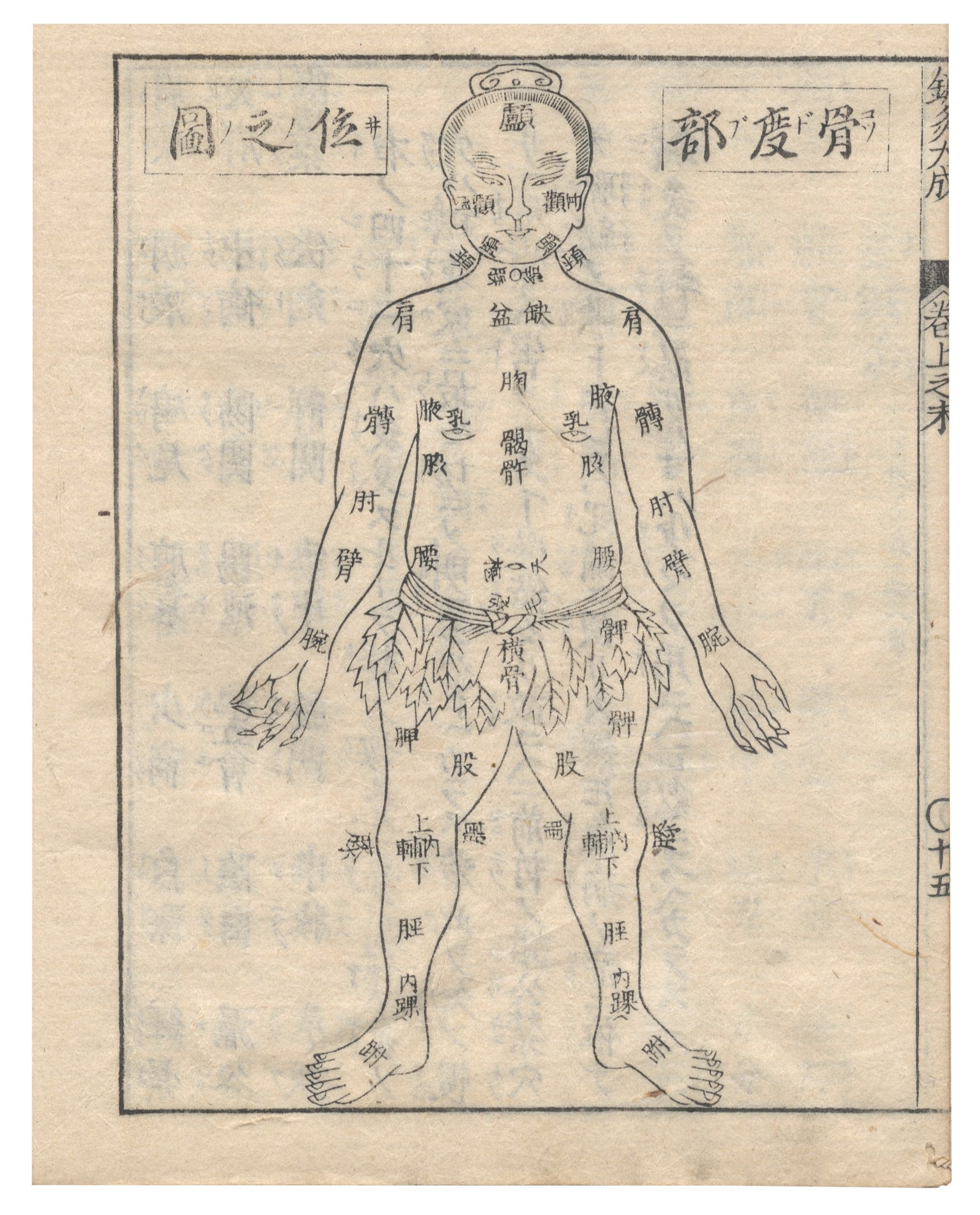 Bonhams : OKAMOTO (IPPO) Zukai seigo Shinyaku Bassui faisei in Japanese ...