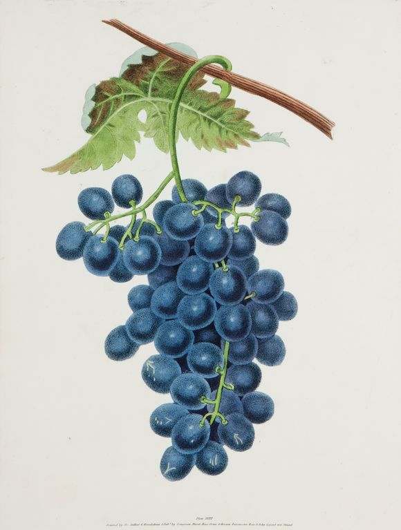 Bonhams : BROOKSHAW (GEORGE) Pomona Britannica, vol. 2 only (of 2 ...