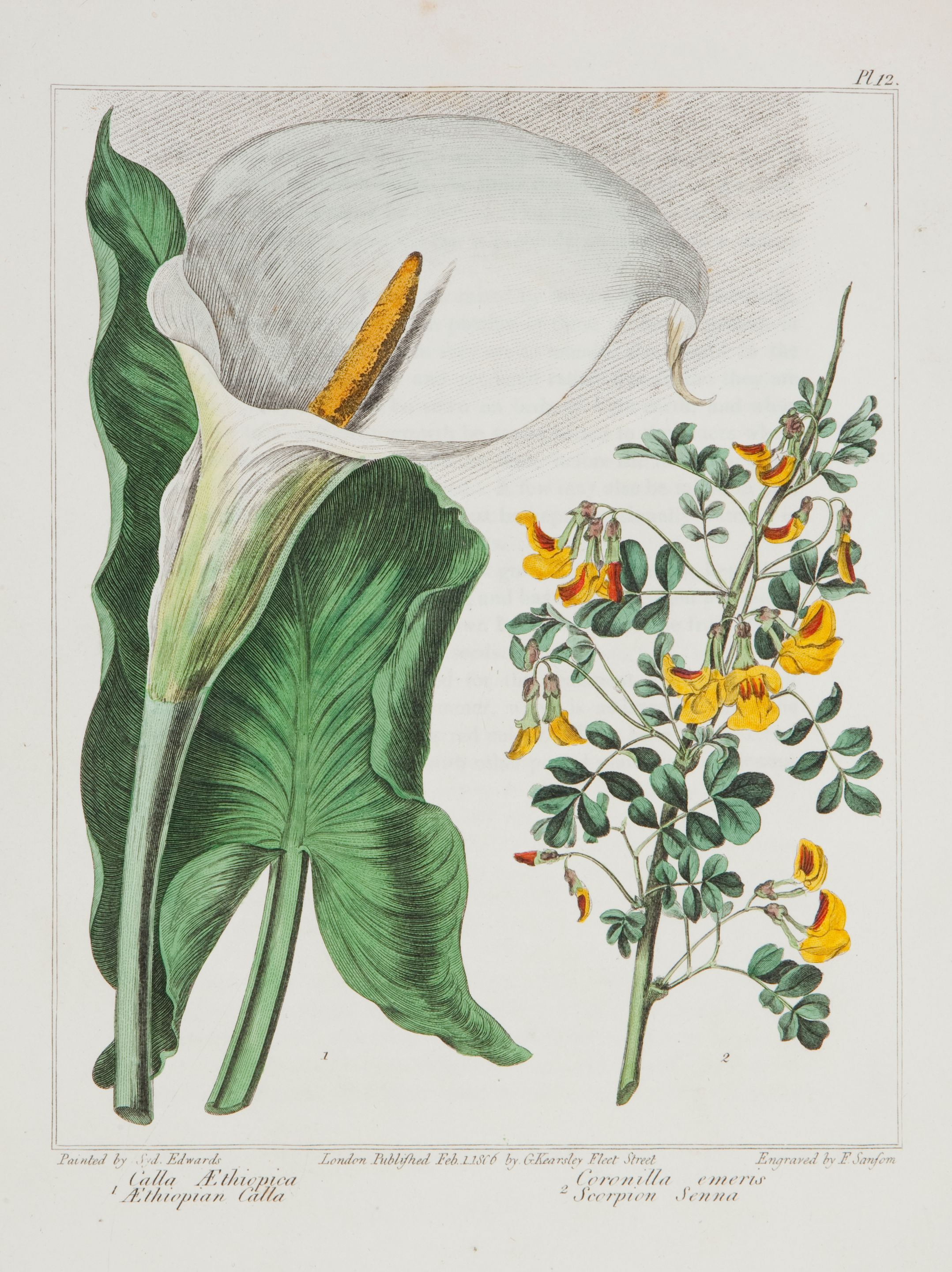 Bonhams : DICKSON (R.W.) AND SYDENHAM EDWARDS The New Flora Britannica ...