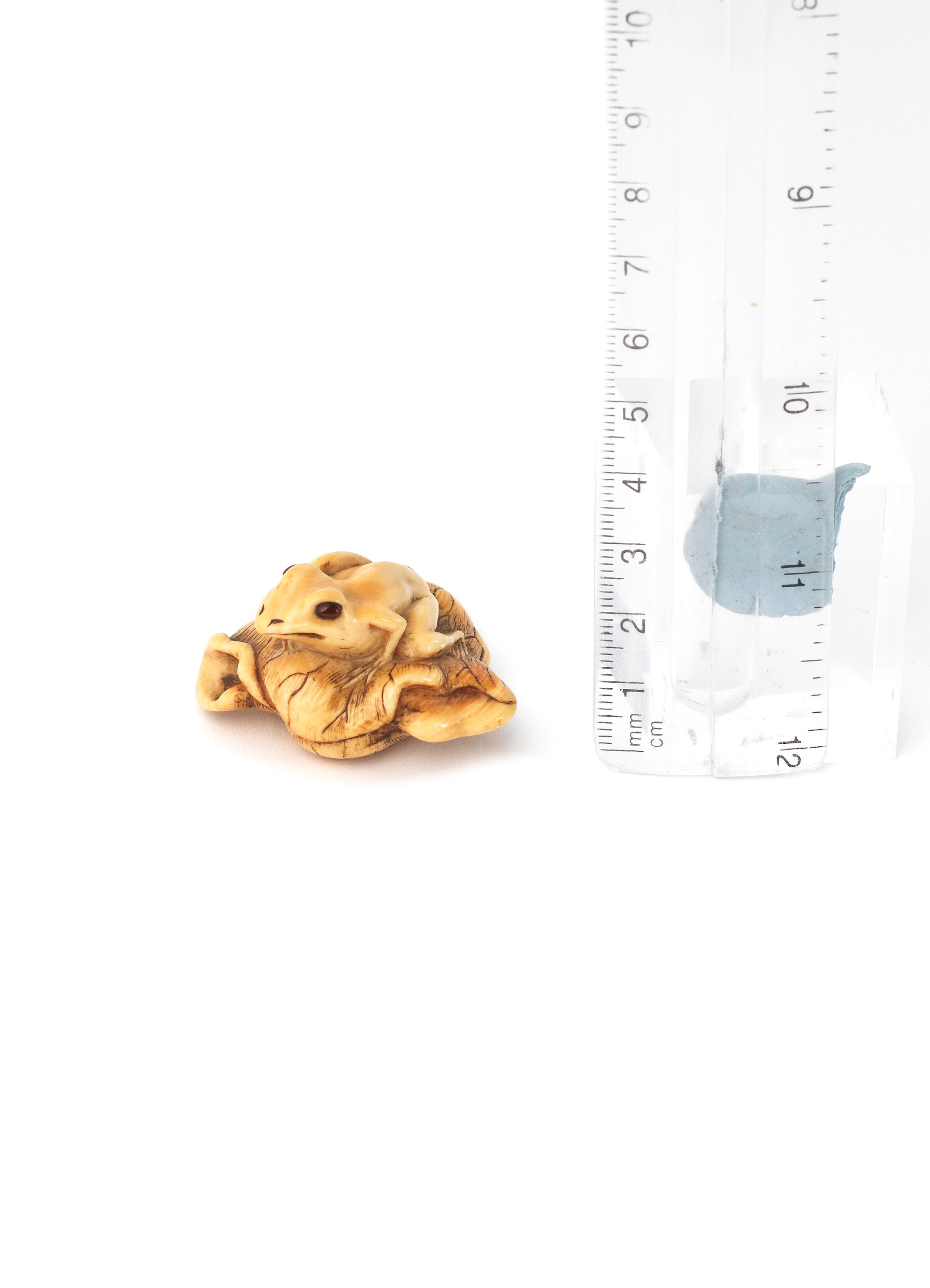 Bonhams : An ivory netsuke of a frog Early 19th century