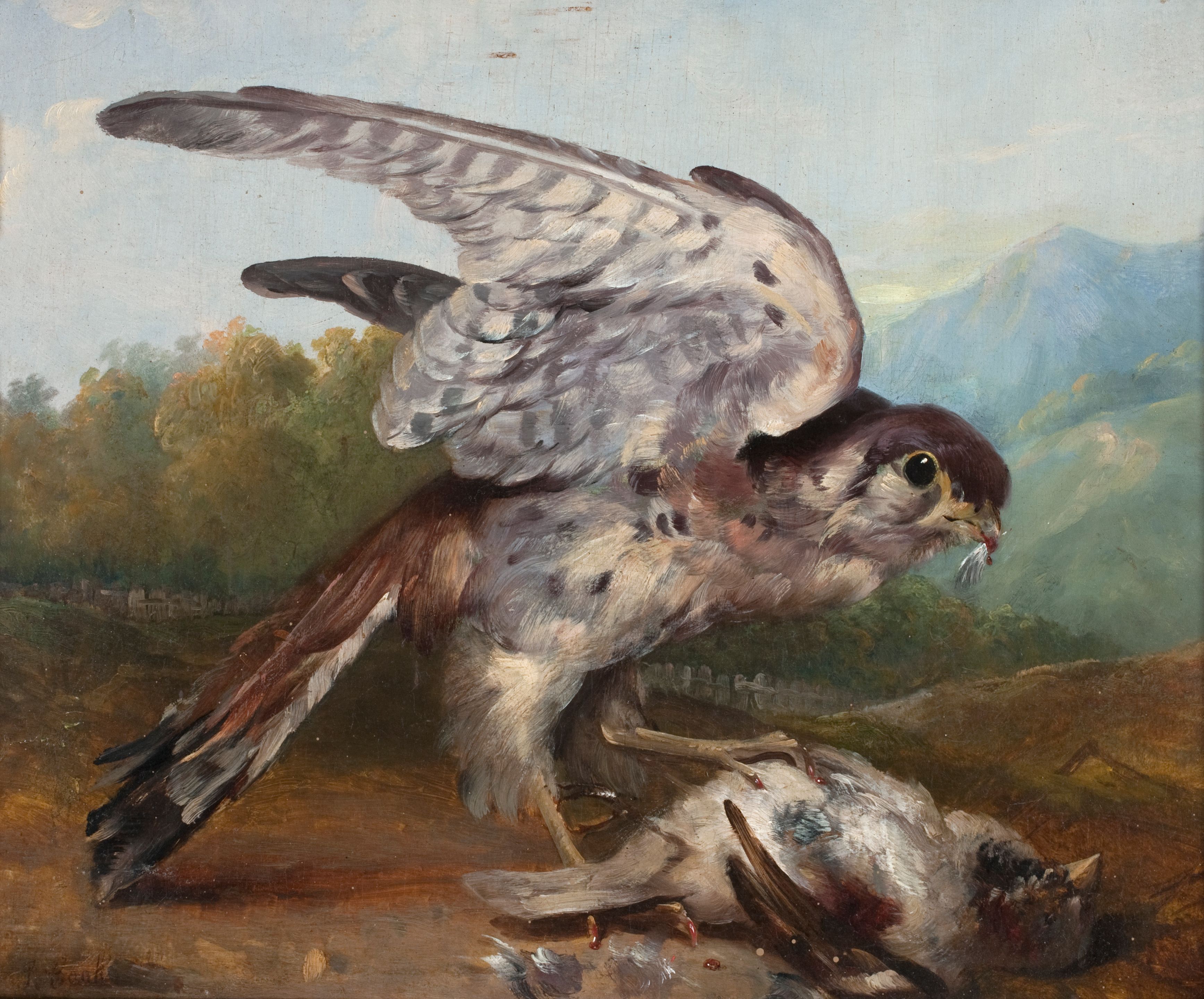 Bonhams : Joshua Cook (British, active 1838-1848) Sparrowhawk