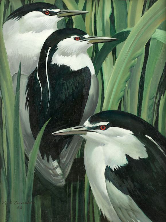 Bonhams : Keith Hope Shackleton (British, 1923-2015) Three night herons