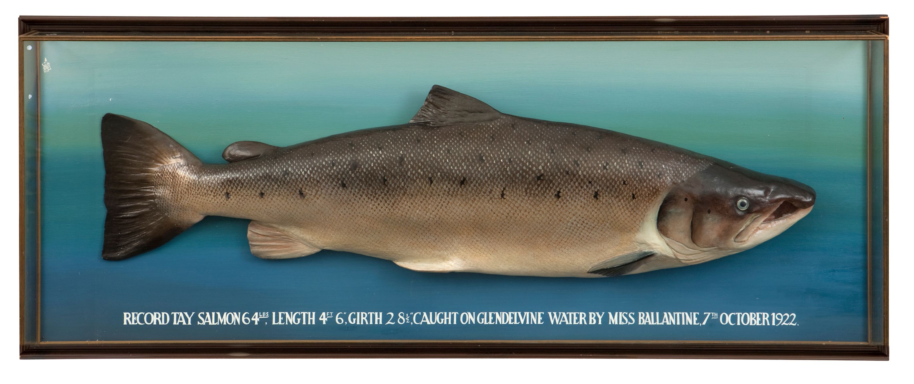 Bonhams : The British Record Salmon, Caught by Miss Ballantine on 7th ...