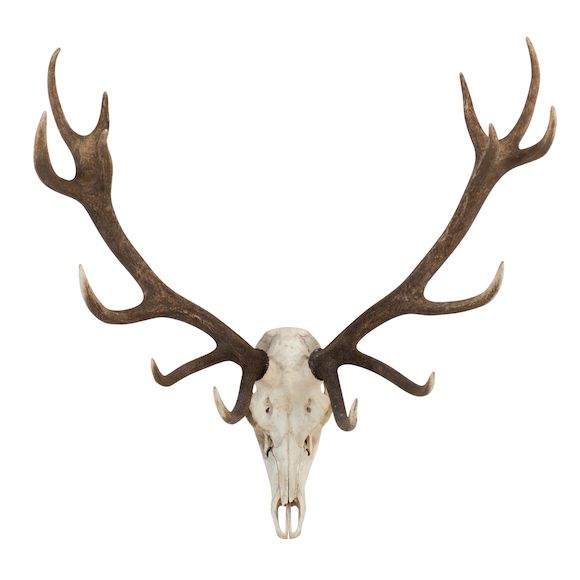 Bonhams : TWO PAIRS OF UNMOUNTED IMPERIAL RED DEER ANTLERS