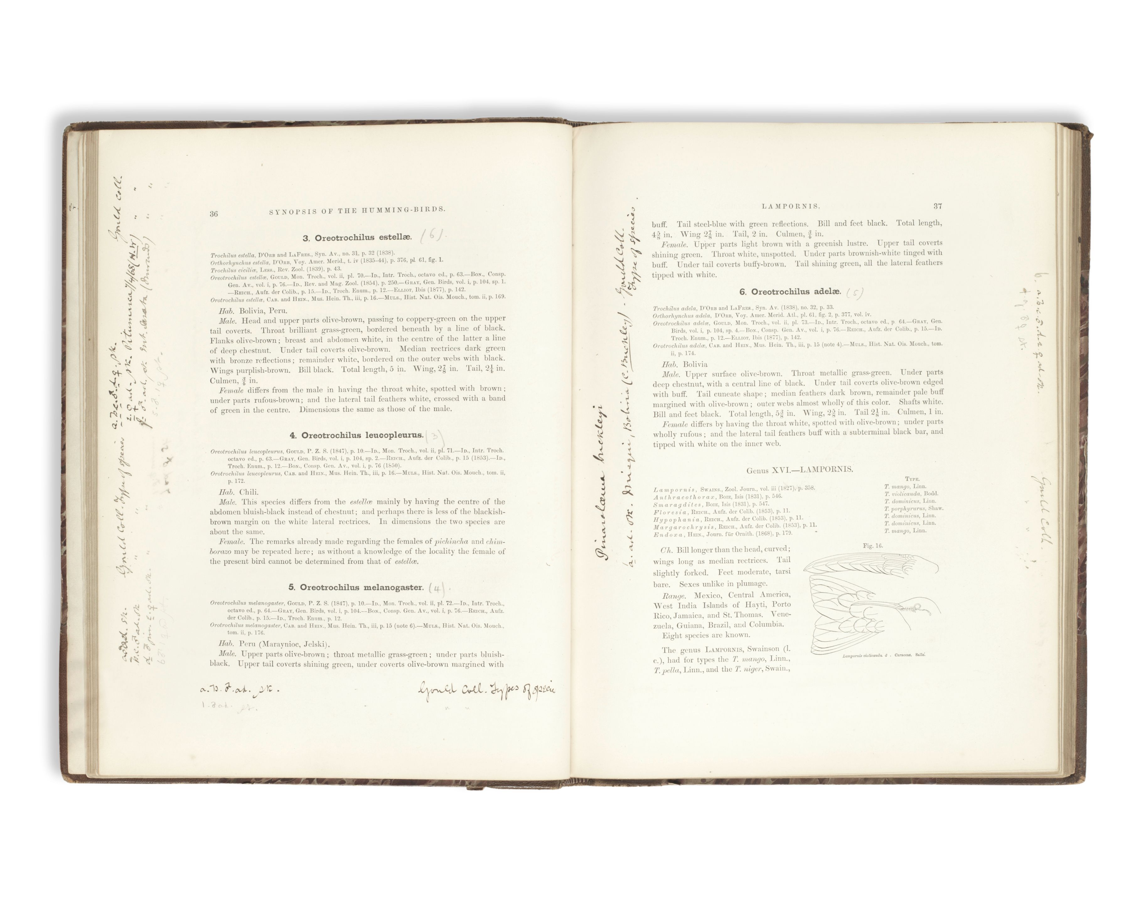 Bonhams : ELLIOT (DANIEL GIRAUD) A Classification and Synopsis of the ...